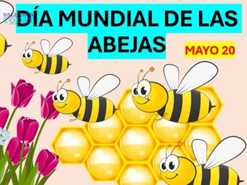World Bee Day 2024